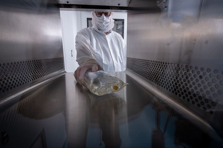 Cleanroom Pass Throughs Guidance | Germfree