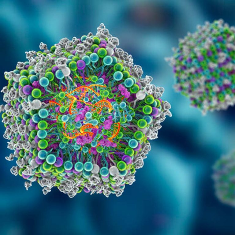 mRNA | mRNA Production | Germfree